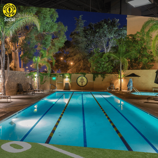 Free 7-Day Trial Gym Pass | Gold's Gym